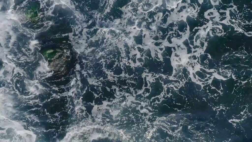 Responsible investing focused on the ocean - Ocean Collective