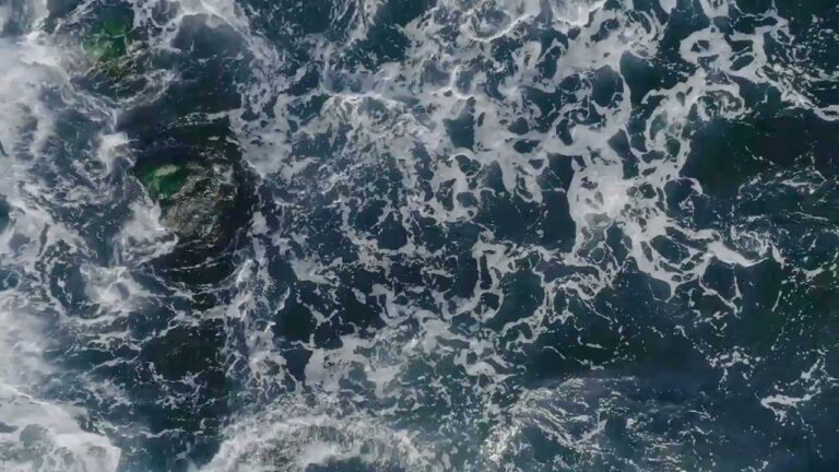 Responsible investing focused on the ocean - Ocean Collective