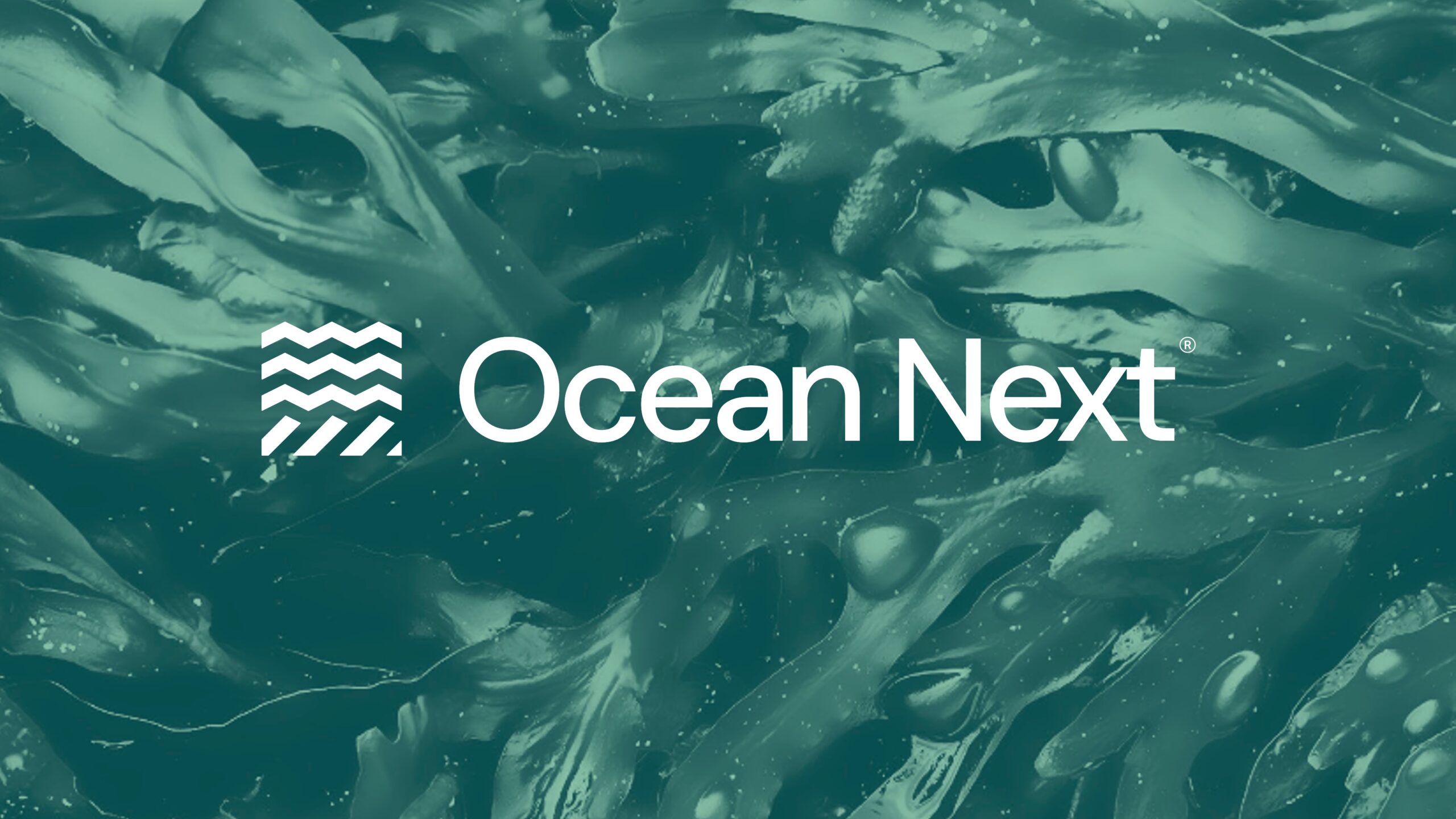 Business areas - Ocean Collective