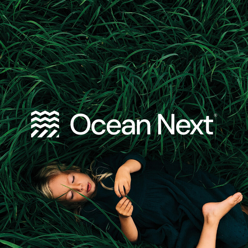 Business areas - Ocean Collective